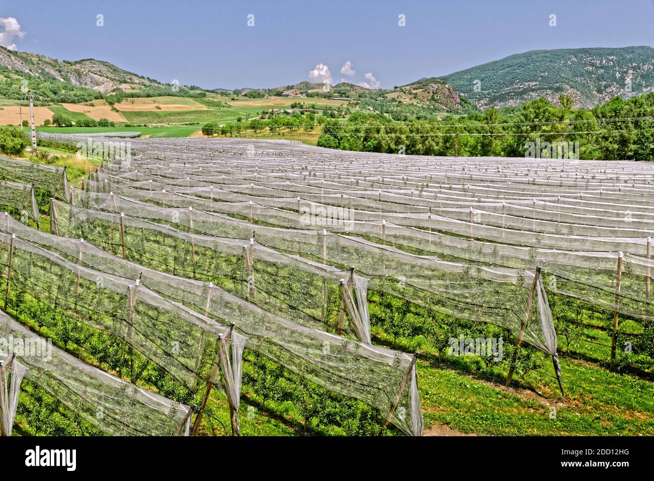 Anti vermin netting hi-res stock photography and images - Alamy