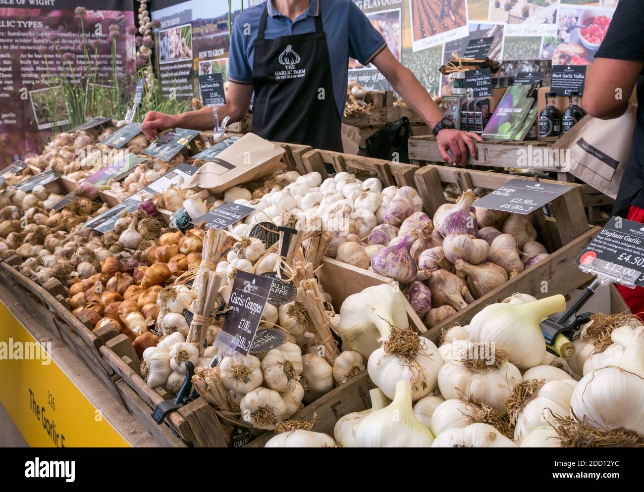 Garlic stand display, with Allium varieties at RHS Hampton Court Flower ...