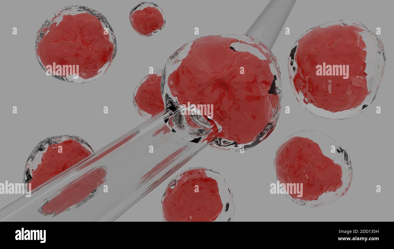 Human stem cell subjected to nano needle aspiration for extraction of ...