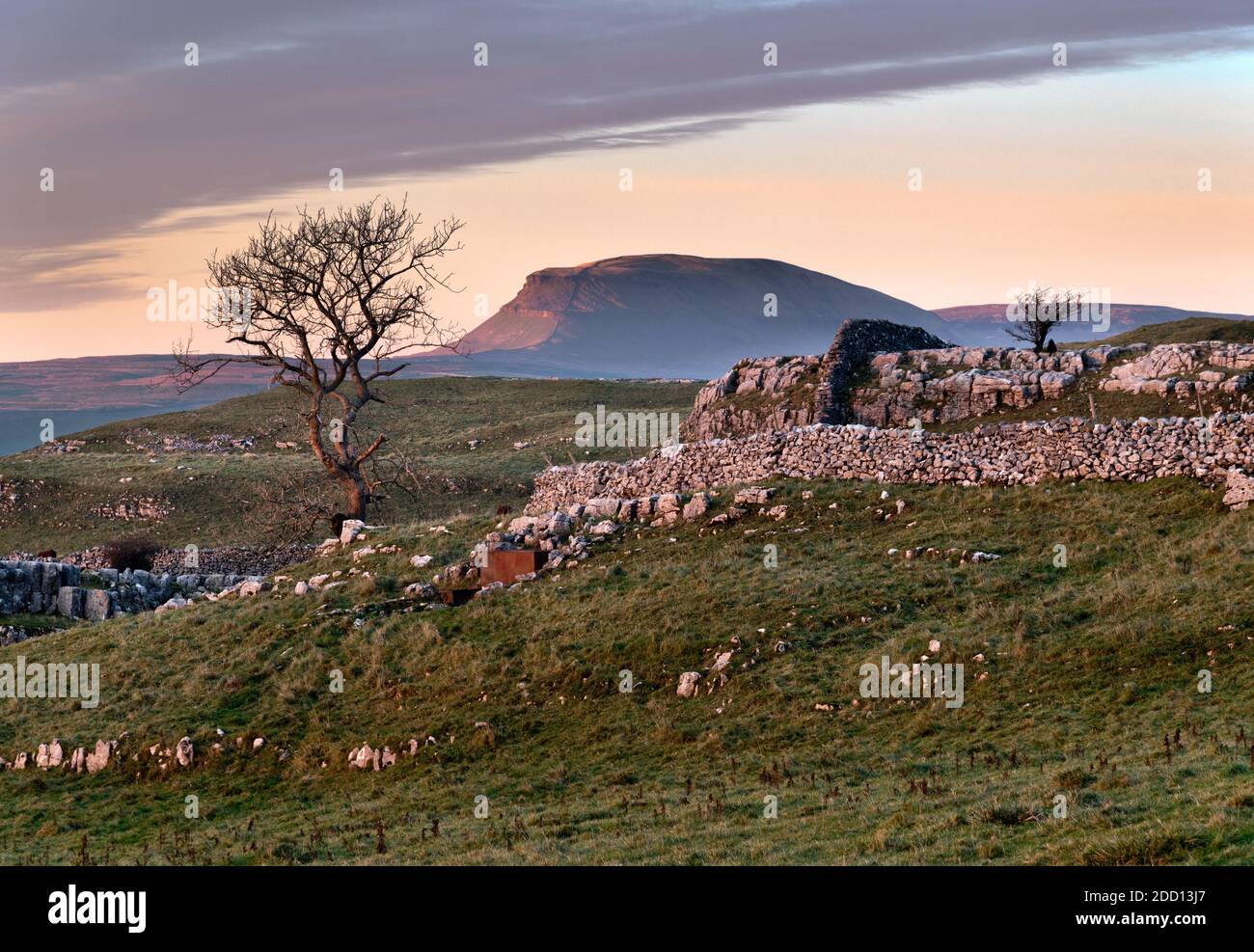 Three seasons hi-res stock photography and images - Alamy