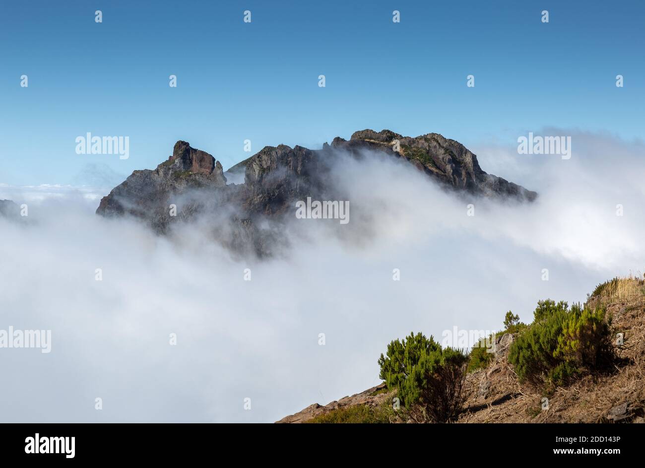 Pico do Ruivo just peaking above the clouds in Madeira Stock Photo - Alamy