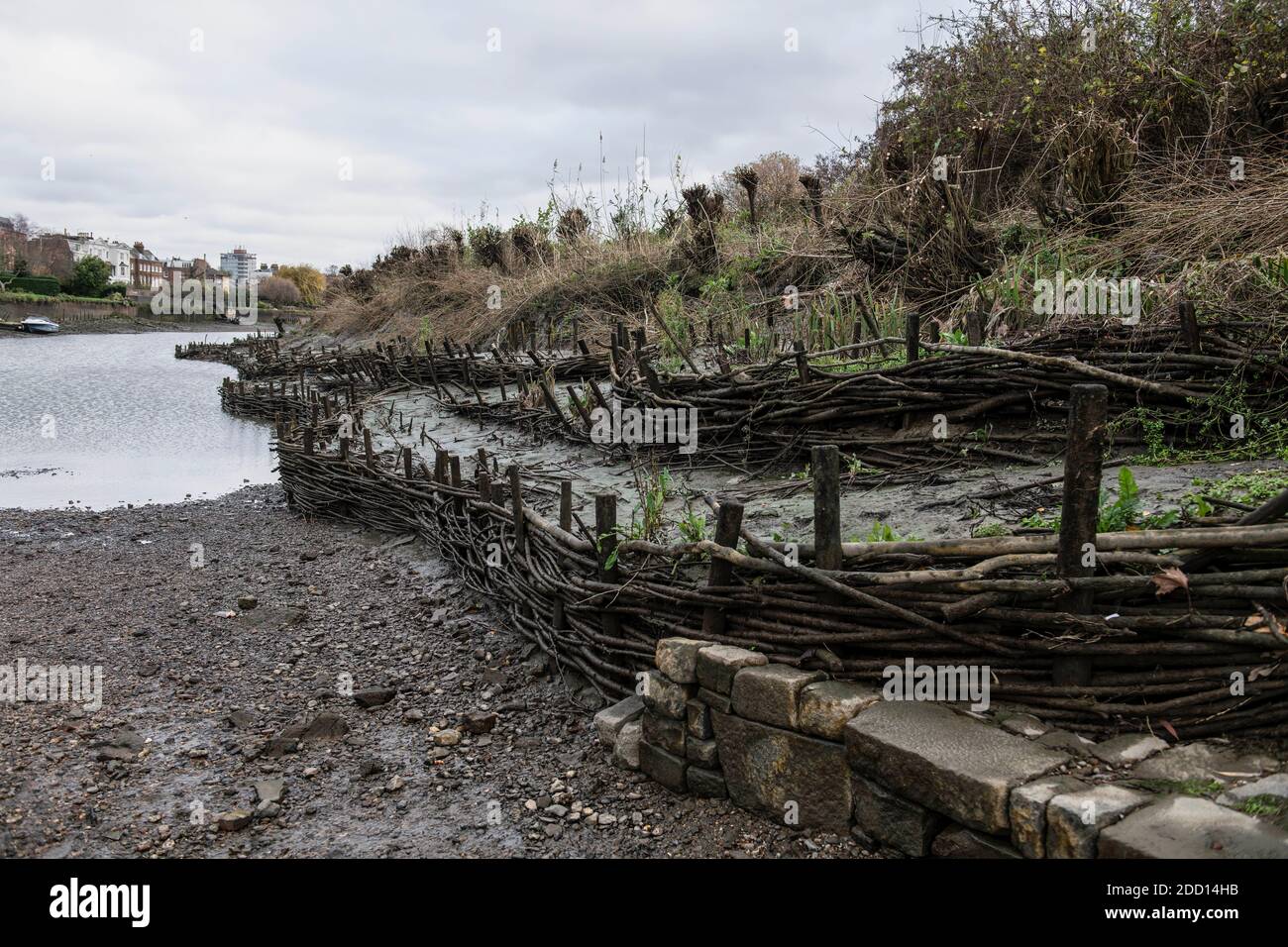 Crabs river thames hi-res stock photography and images - Alamy