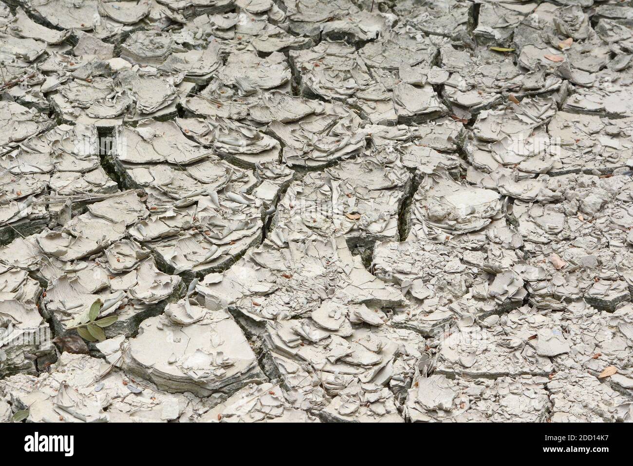 Cracked Dried River Clay Bed High Resolution Stock Photography and ...