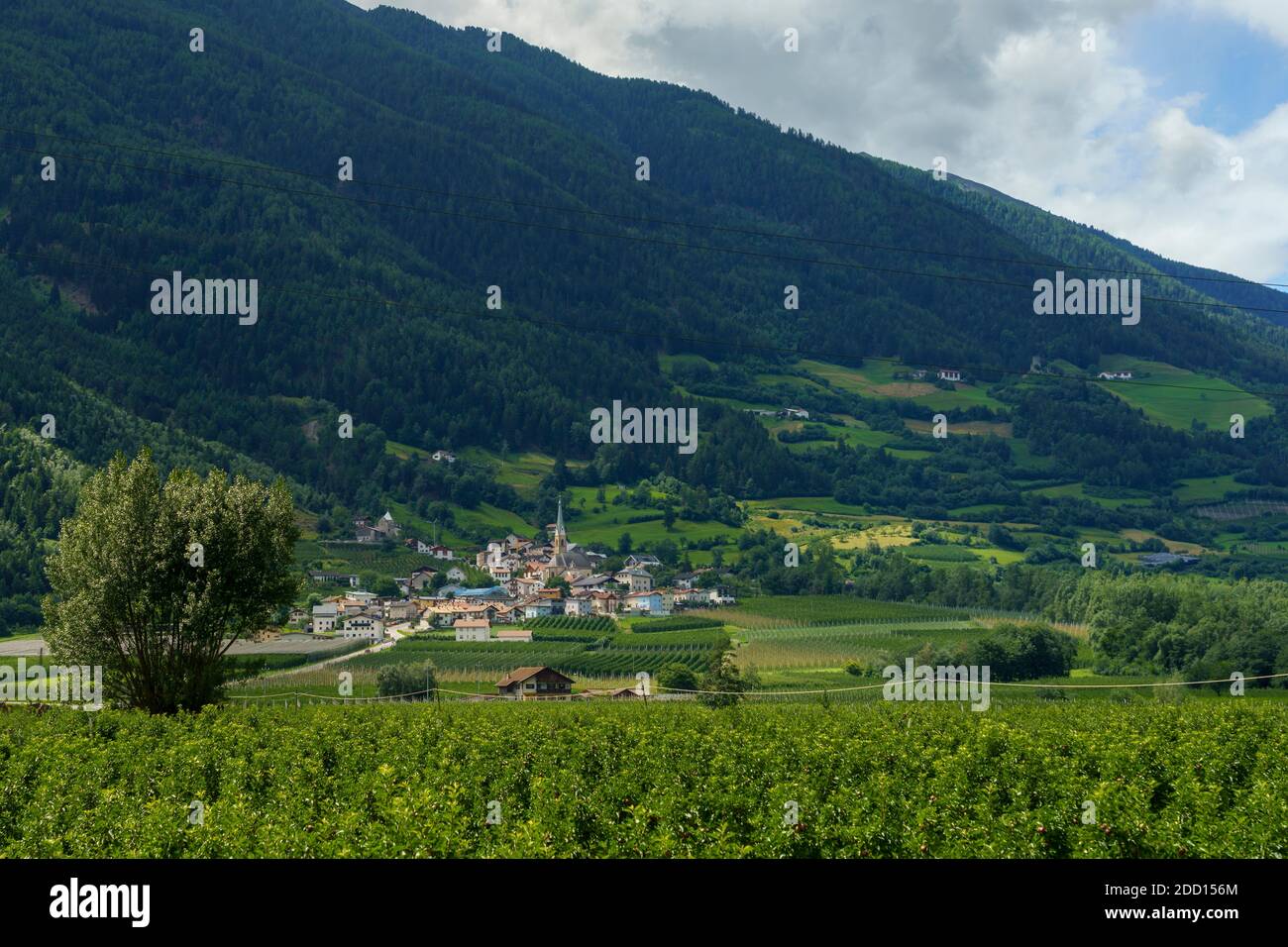 Summer landscape along the cycleway of the Venosta valley and the Adige ...