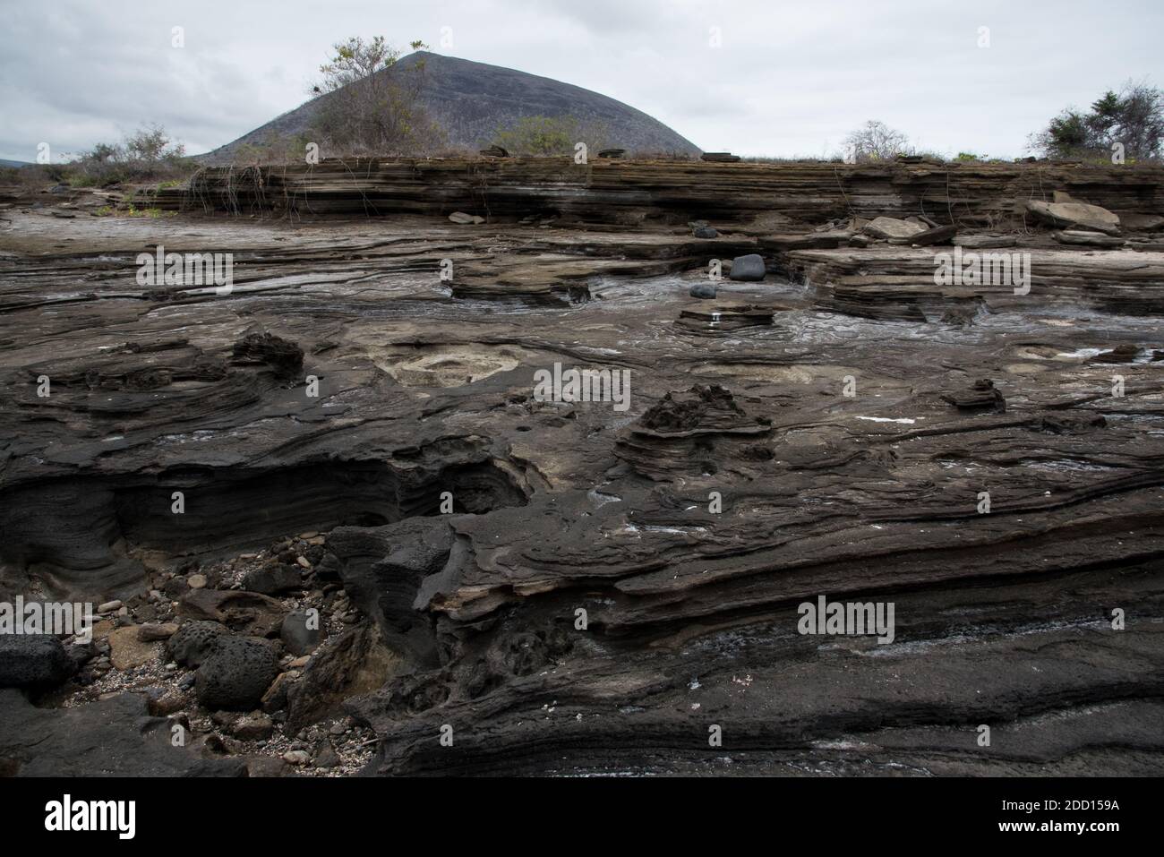 Impressive volcanic and lava formation at Egas Point at Santiago which ...