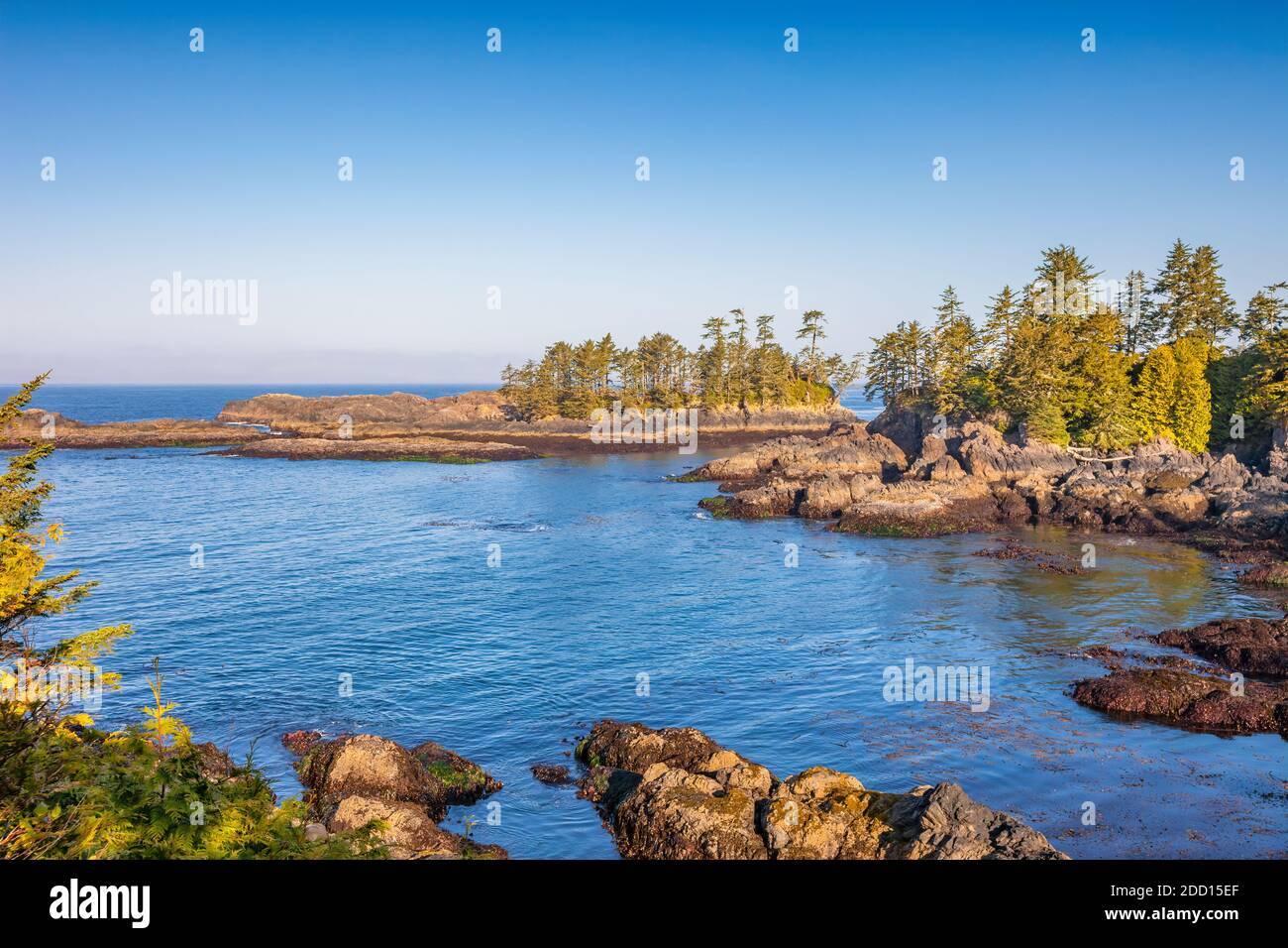Pacific rim national park reserve hi-res stock photography and images ...