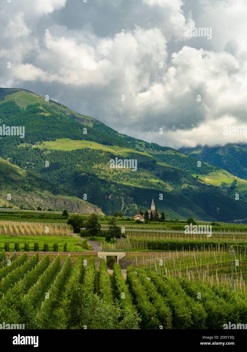 Summer landscape along the cycleway of the Venosta valley and the Adige ...