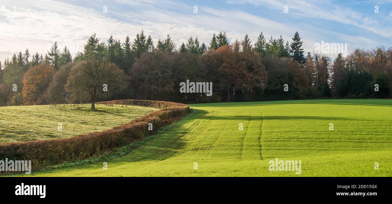 English Countryside Scene Stock Photo - Alamy