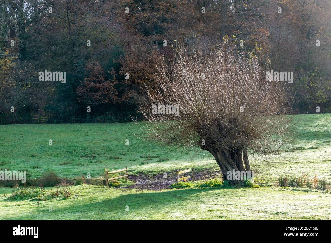 English Countryside Scene Stock Photo - Alamy