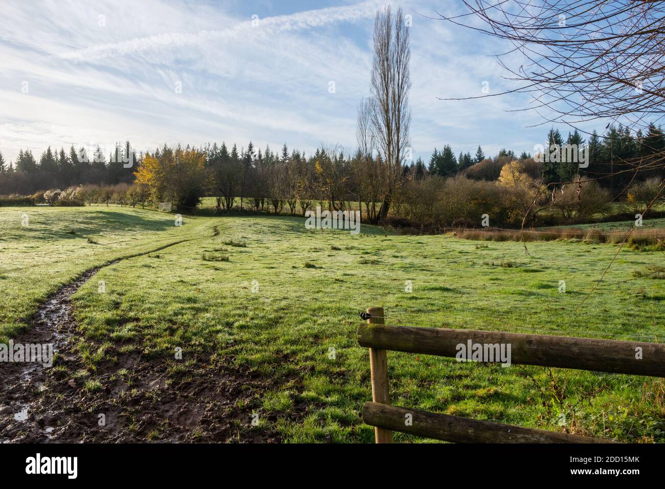 English Countryside Scene Stock Photo - Alamy