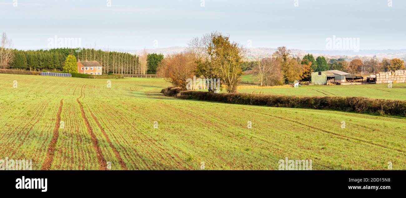 English Countryside Scene Stock Photo - Alamy