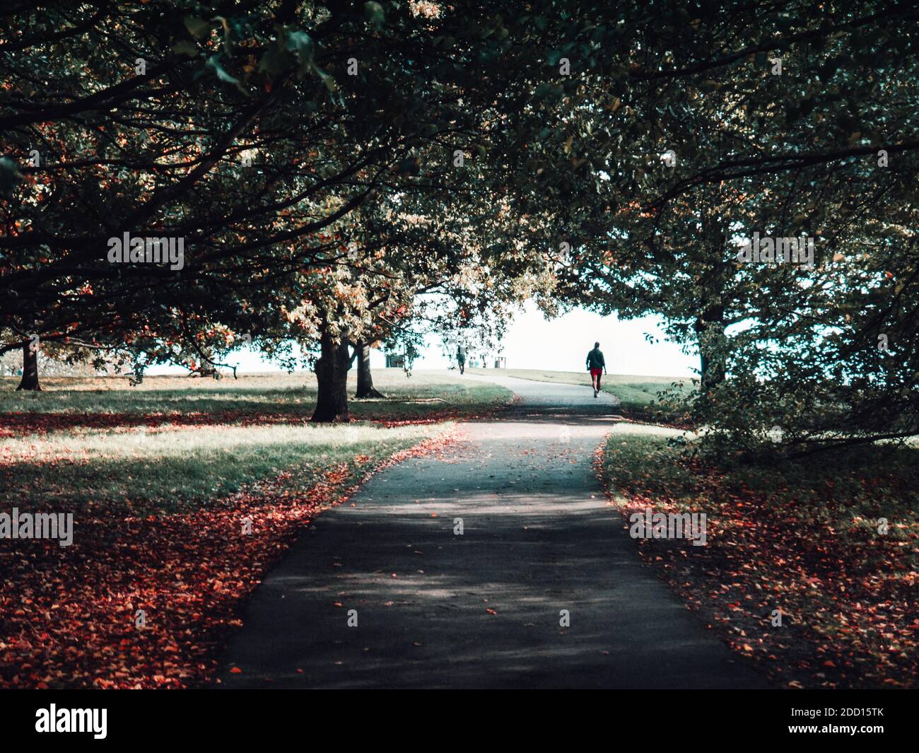 Solo walk hi-res stock photography and images - Alamy