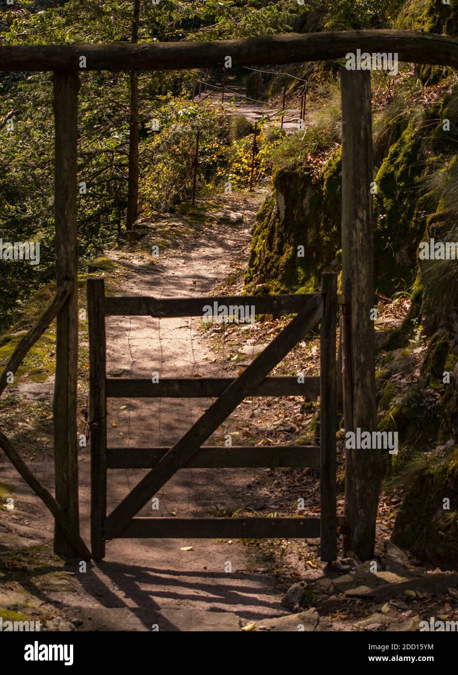 Irregular wood hi-res stock photography and images - Alamy