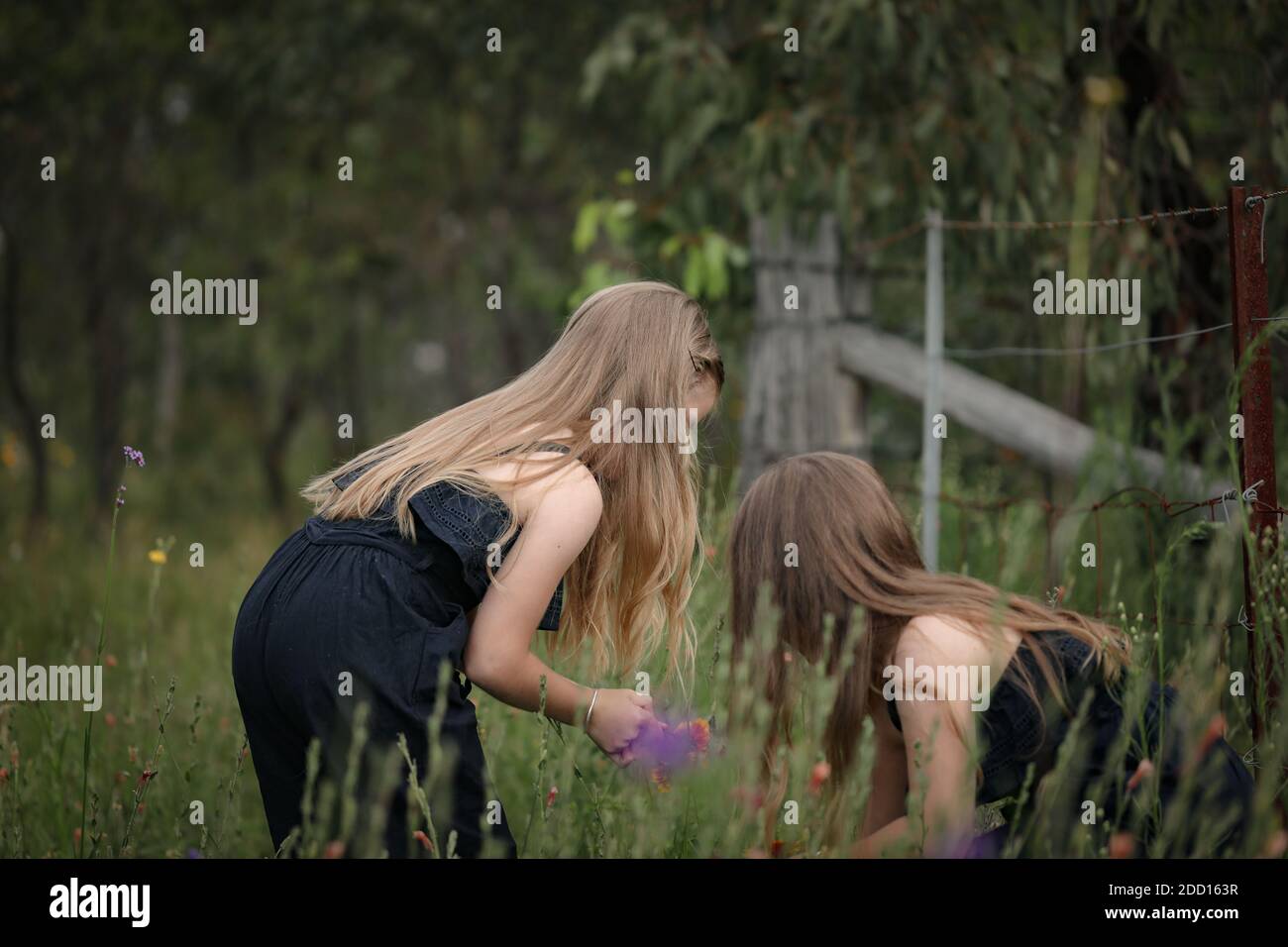 Two girls collecting flowers in the field Stock Photo - Alamy