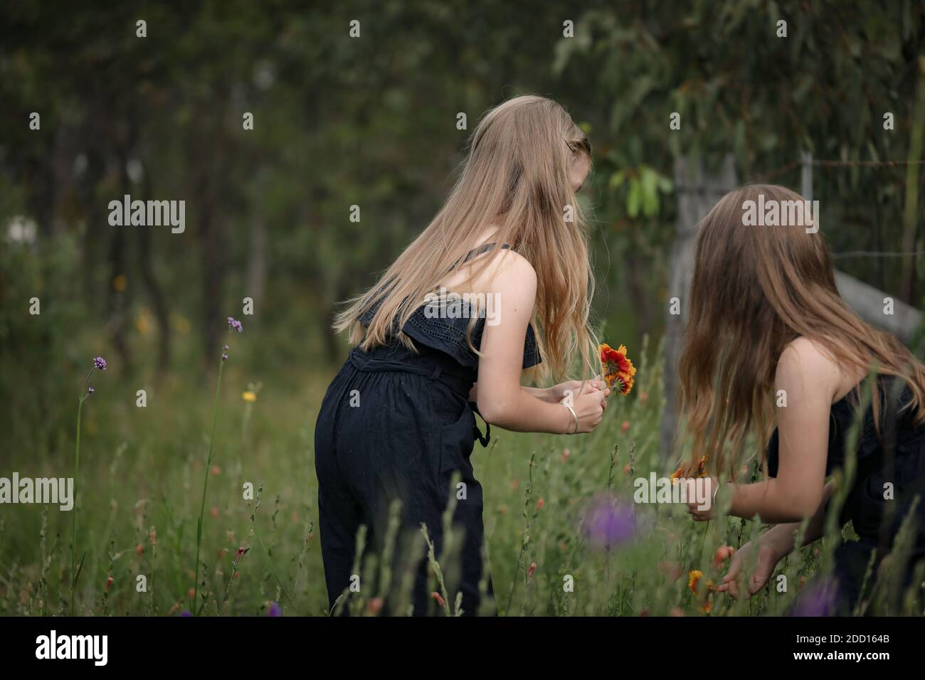 Two girls collecting flowers in the field Stock Photo - Alamy
