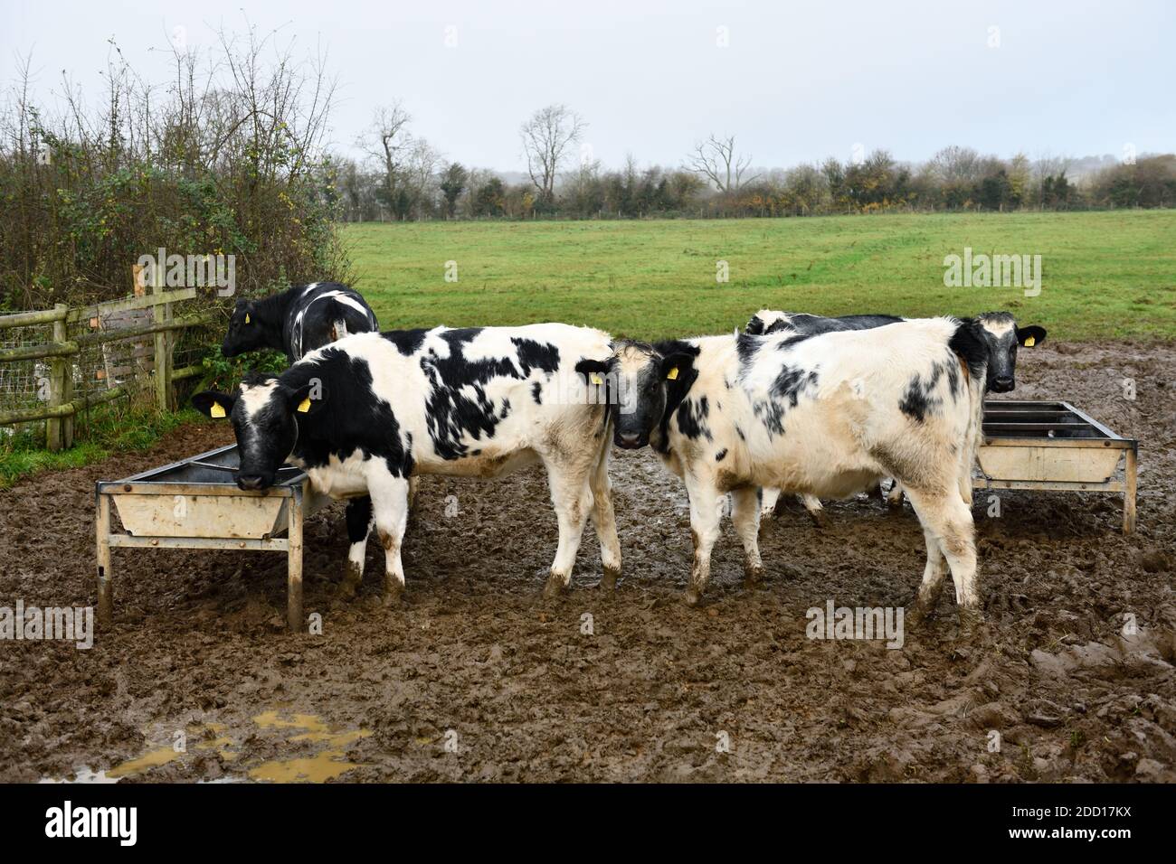 Feed troves hi-res stock photography and images - Alamy