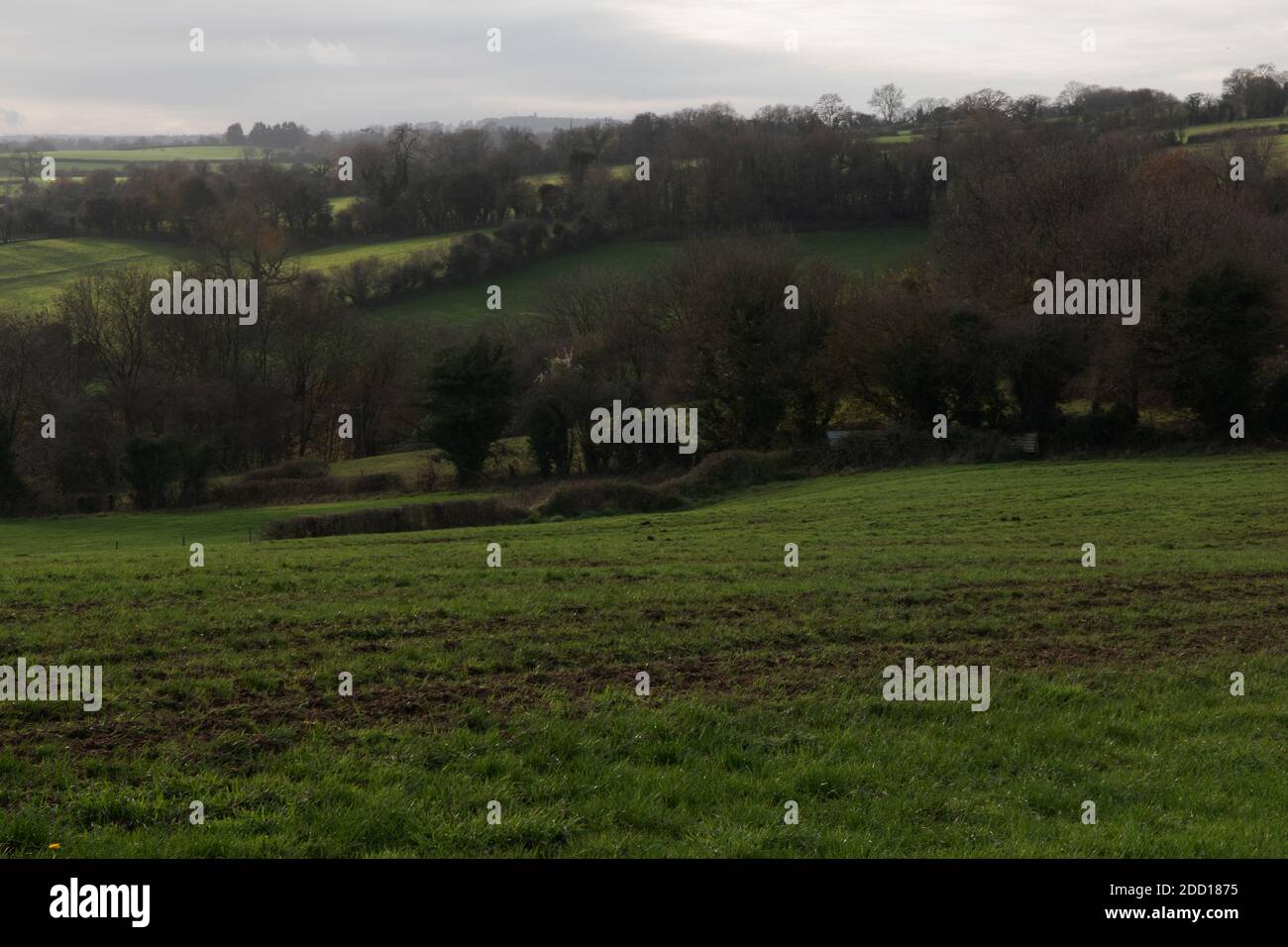 Countryside on the outskirts of Frome, Somerset, UK Stock Photo - Alamy