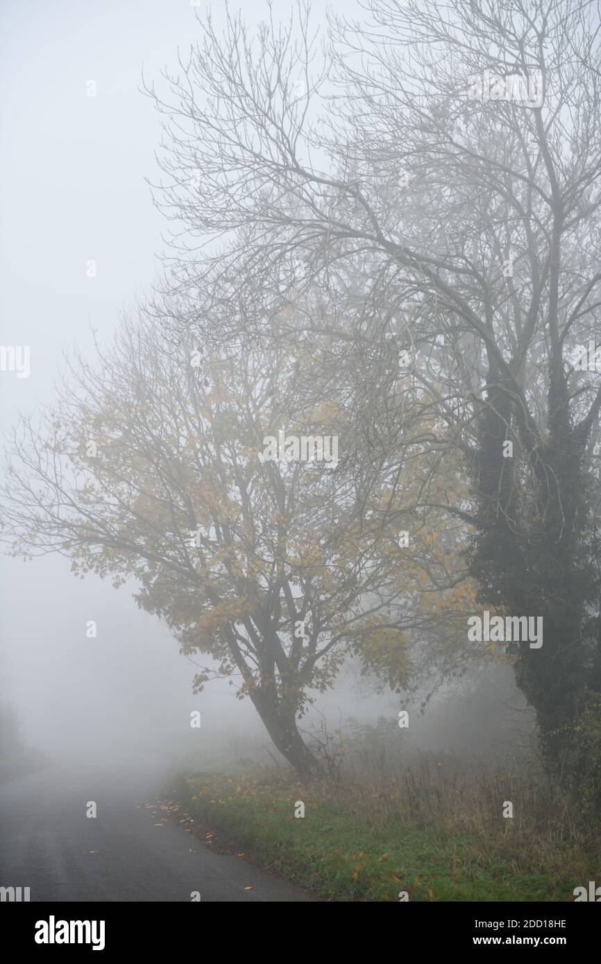 Fog hi res hi-res stock photography and images - Alamy