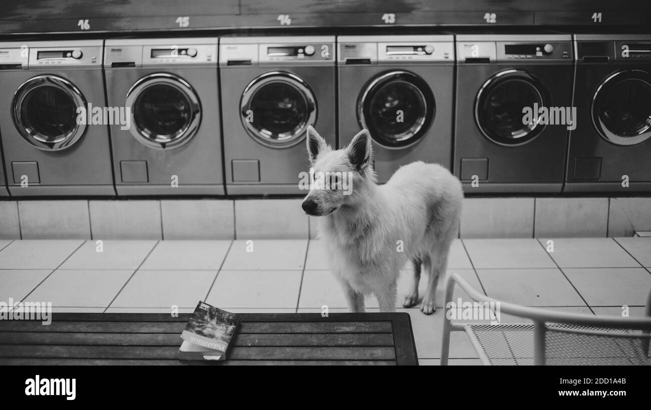 French rural road Black and White Stock Photos & Images - Alamy