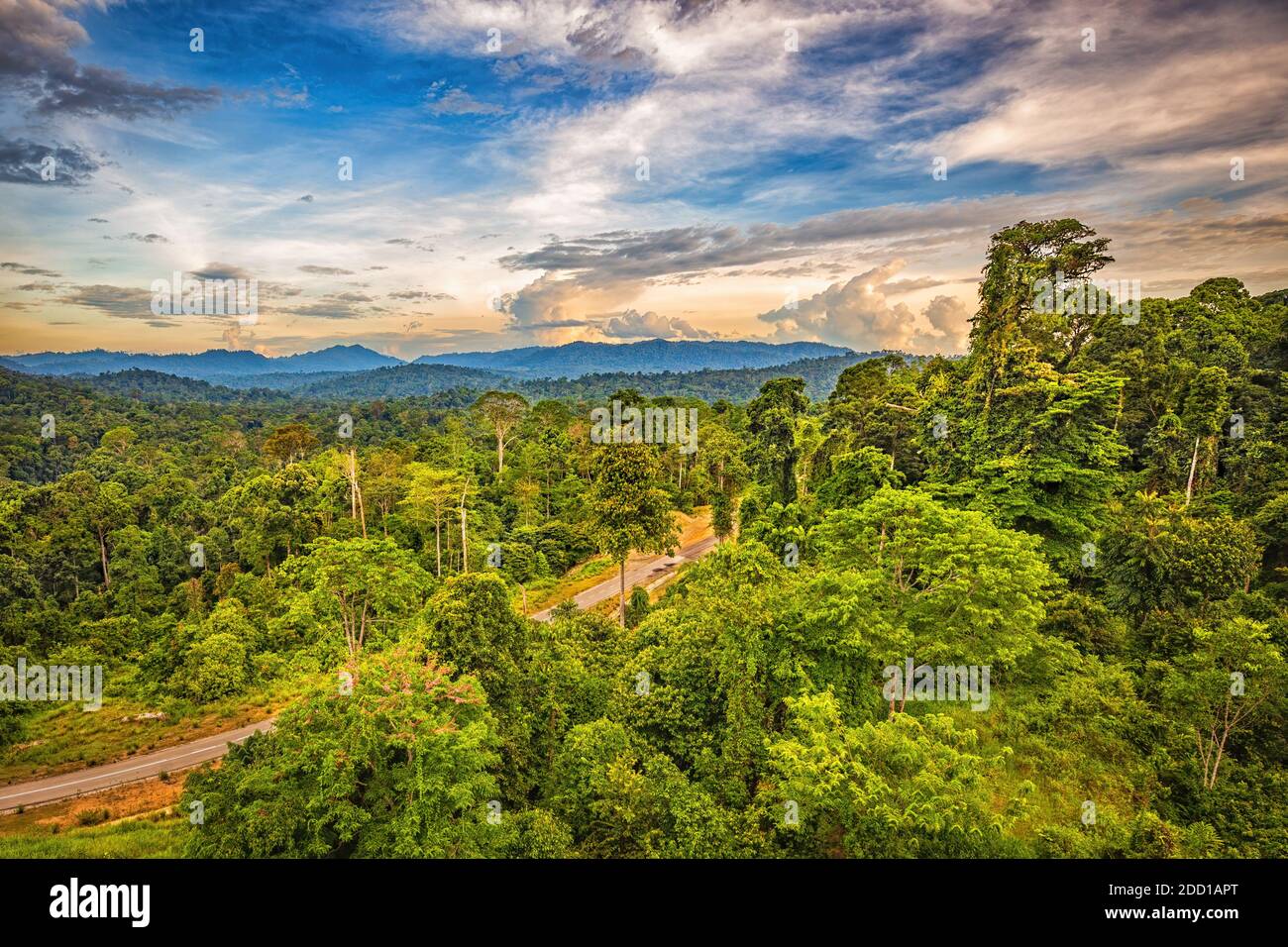 Borneo landscape hi-res stock photography and images - Alamy