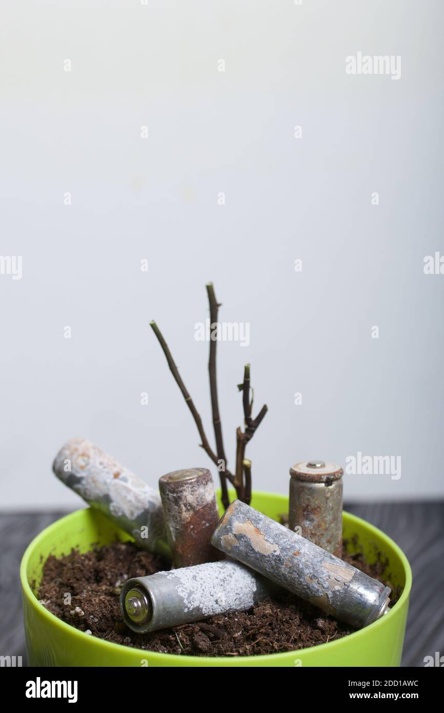 A flower pot with a withered plant. It contains corroded used batteries ...