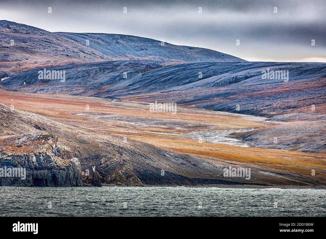 Wrangel island russia hi-res stock photography and images - Alamy