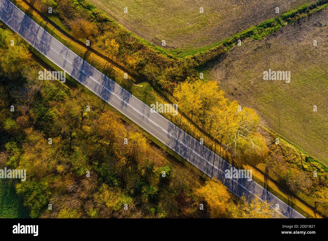 Aerial view of road in beautiful autumn forest at sunset. Beautiful ...
