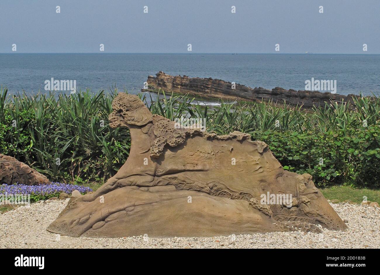 Animal erosion hi-res stock photography and images - Alamy