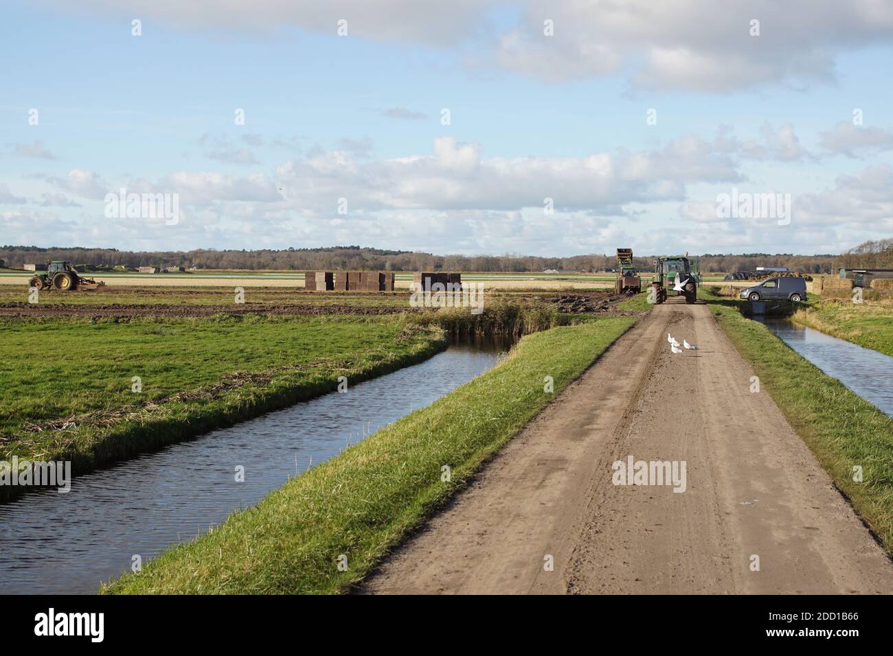 Muddy Ditch High Resolution Stock Photography and Images - Alamy