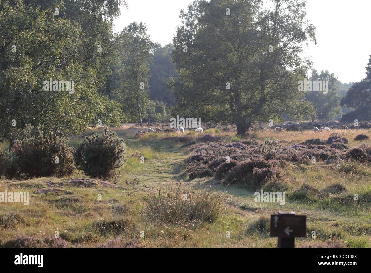 Linwood hi-res stock photography and images - Alamy