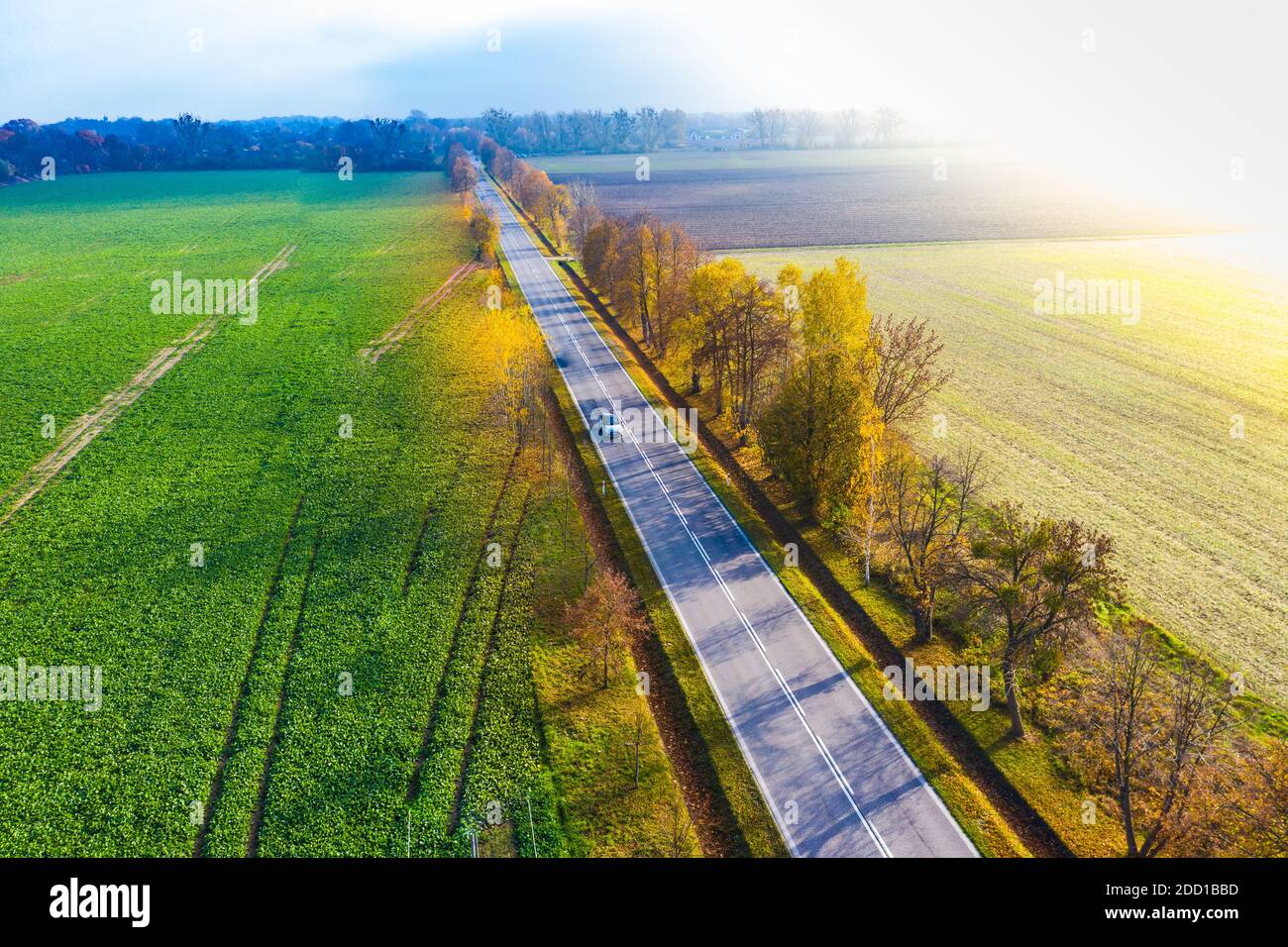 Aerial view of the road in beautiful autumn forest at sunset. Top view ...