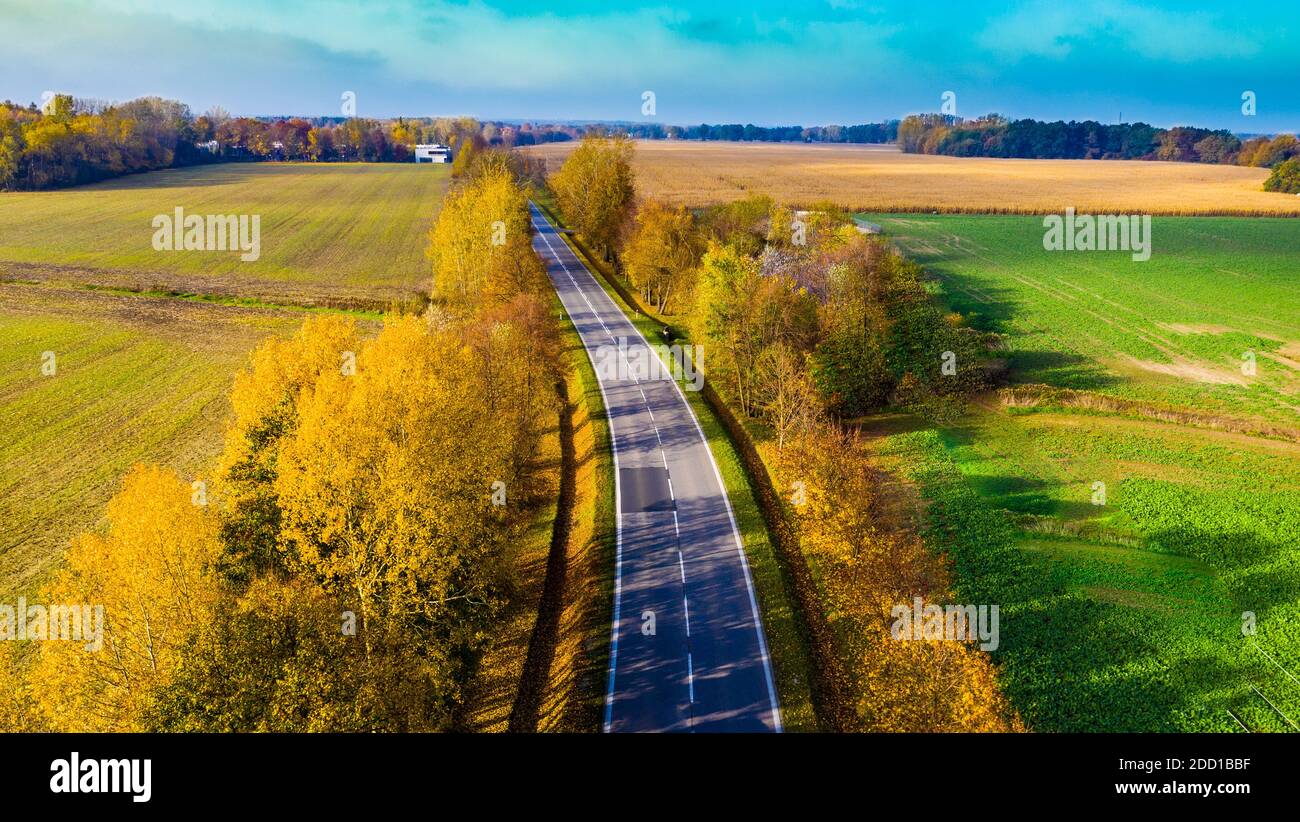 Aerial view of the road in beautiful autumn forest at sunset. Top view ...