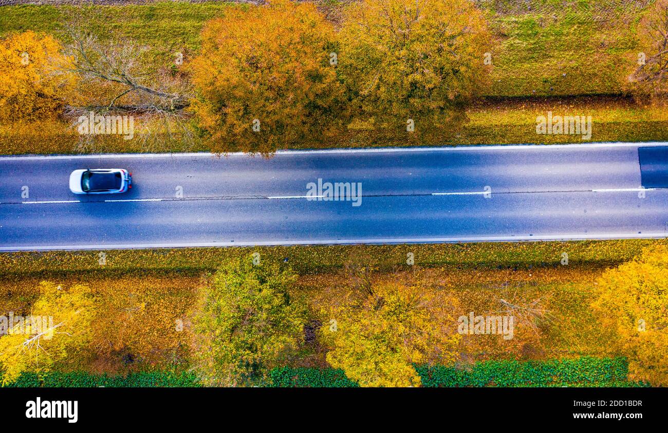 Aerial view of road in beautiful autumn forest at sunset. Beautiful ...