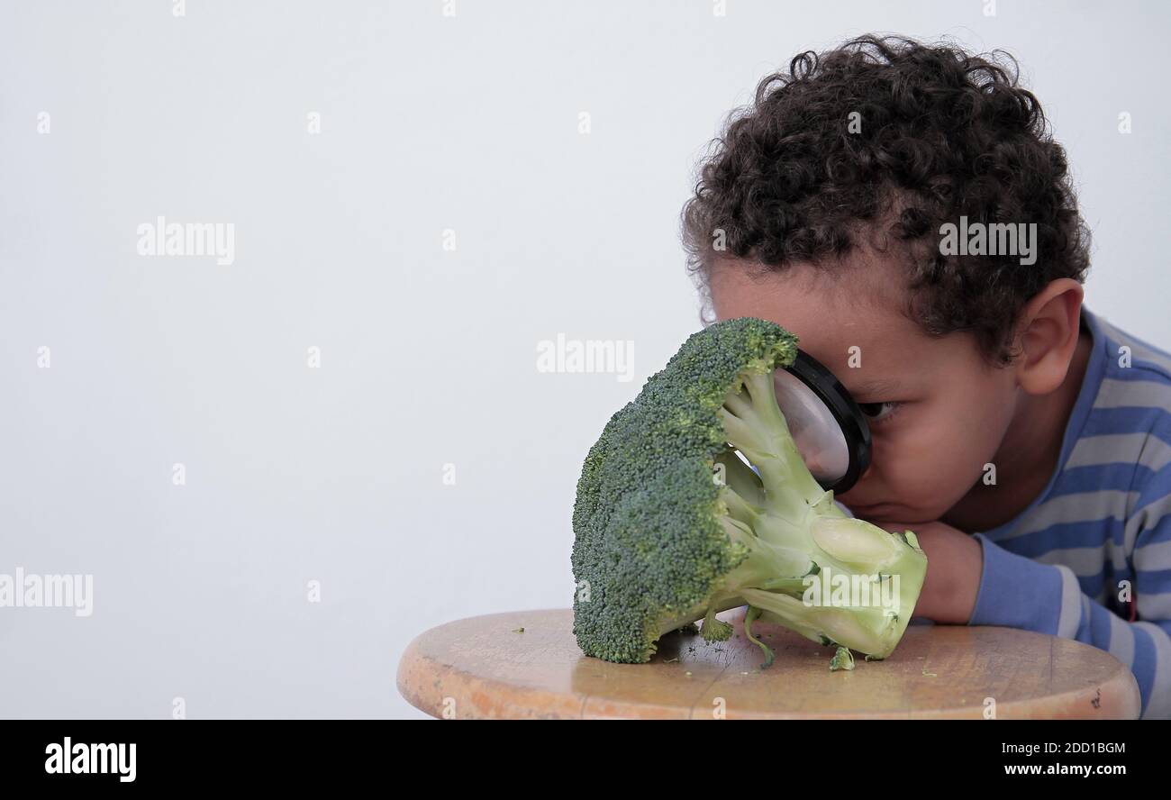 boy looking at broccoli with magnifying glass on grey background stock ...