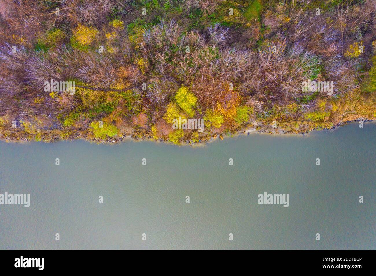 Autumn forest near the lake. Yellow trees and blue water. Top view ...