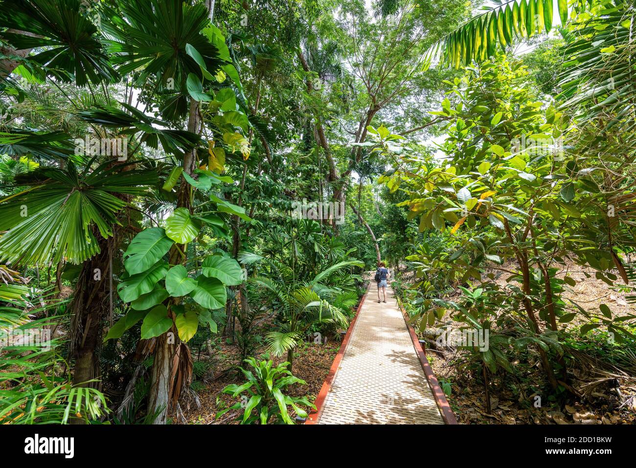 Botanical garden pedestrian way hi-res stock photography and images - Alamy