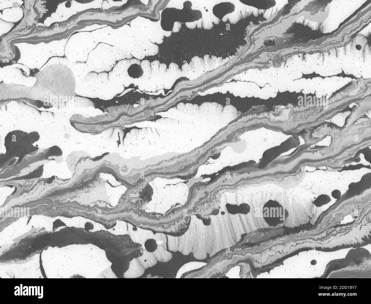 Grayscale illustration hi-res stock photography and images - Alamy