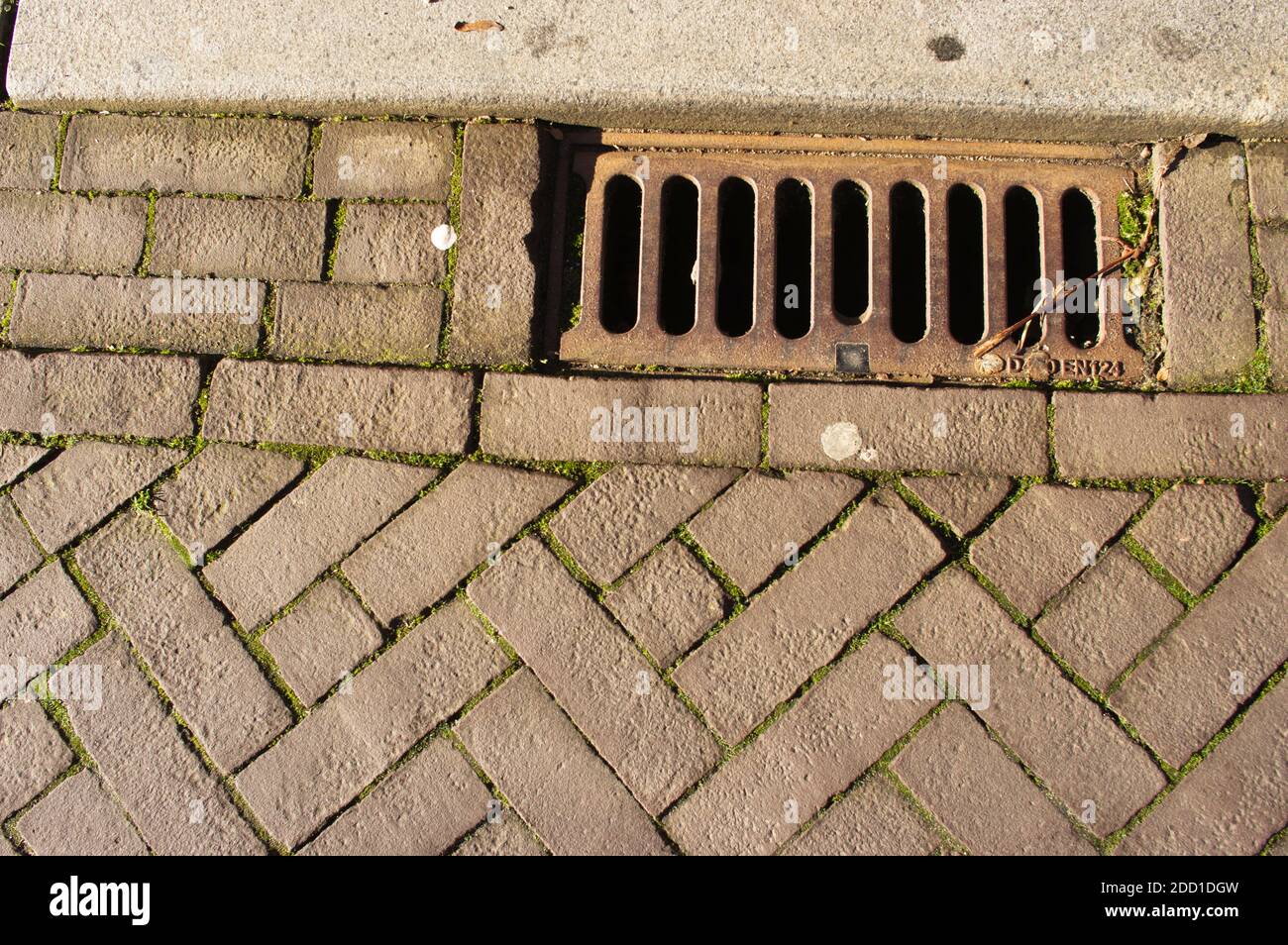Closeup of a rain drainage grid in the street Stock Photo - Alamy