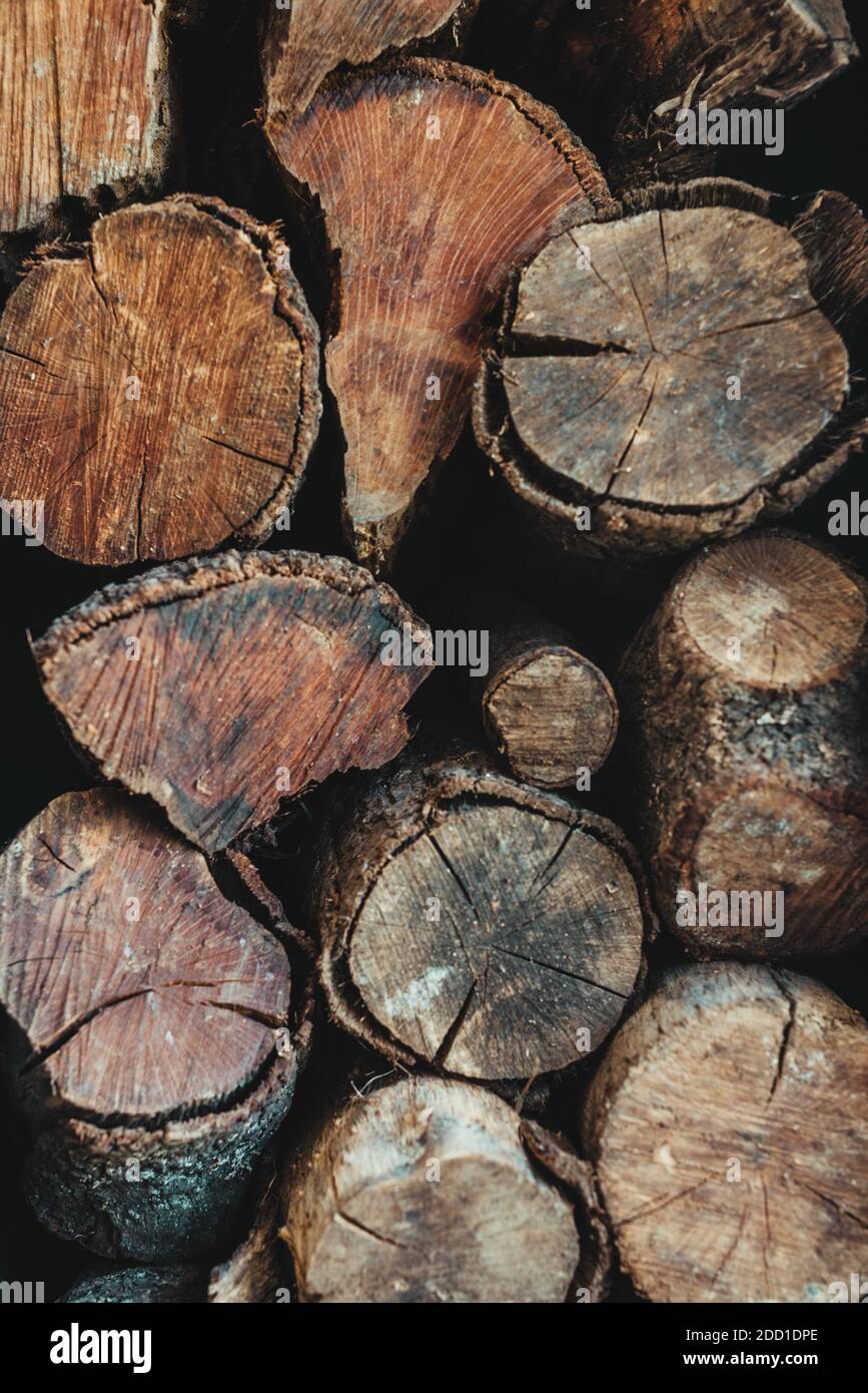 A top view closeup of cut tree logs stacked up next to each other Stock ...