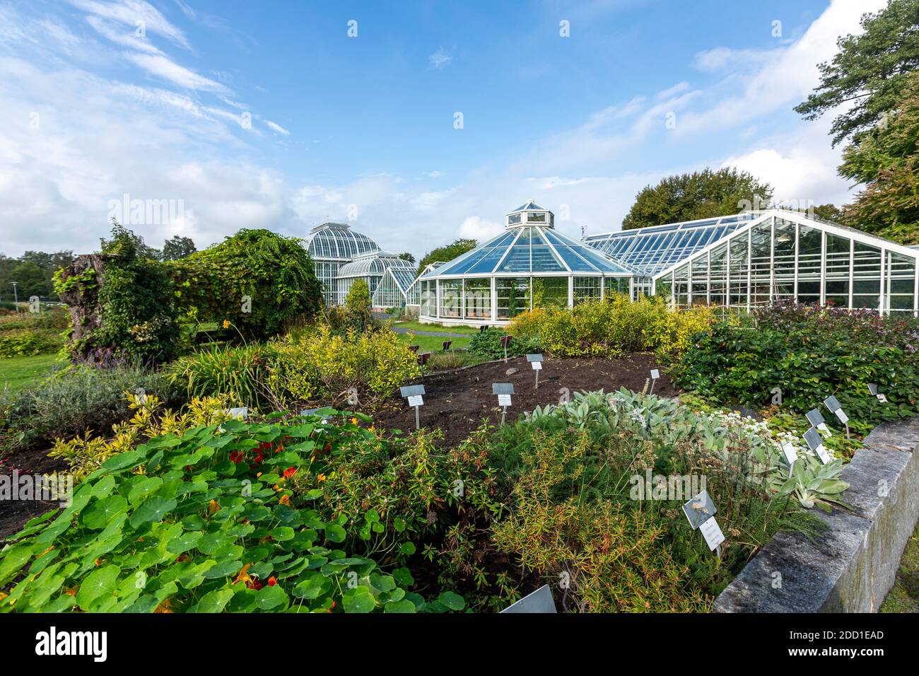 The Palm House, University of Helsinki Botanical Garden, Helsinki ...