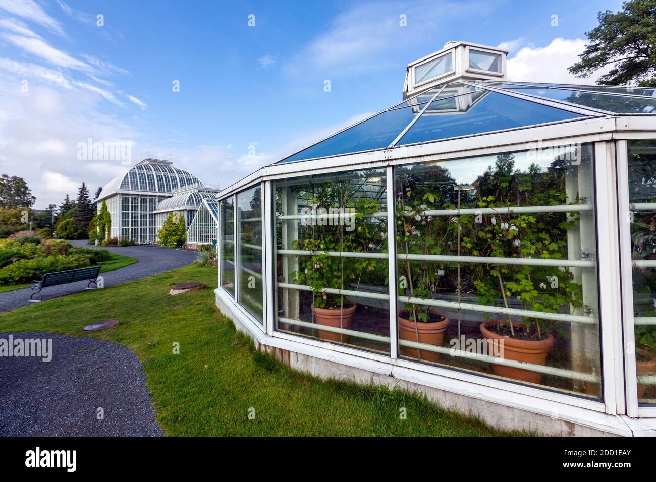 The Palm House, University of Helsinki Botanical Garden, Helsinki ...