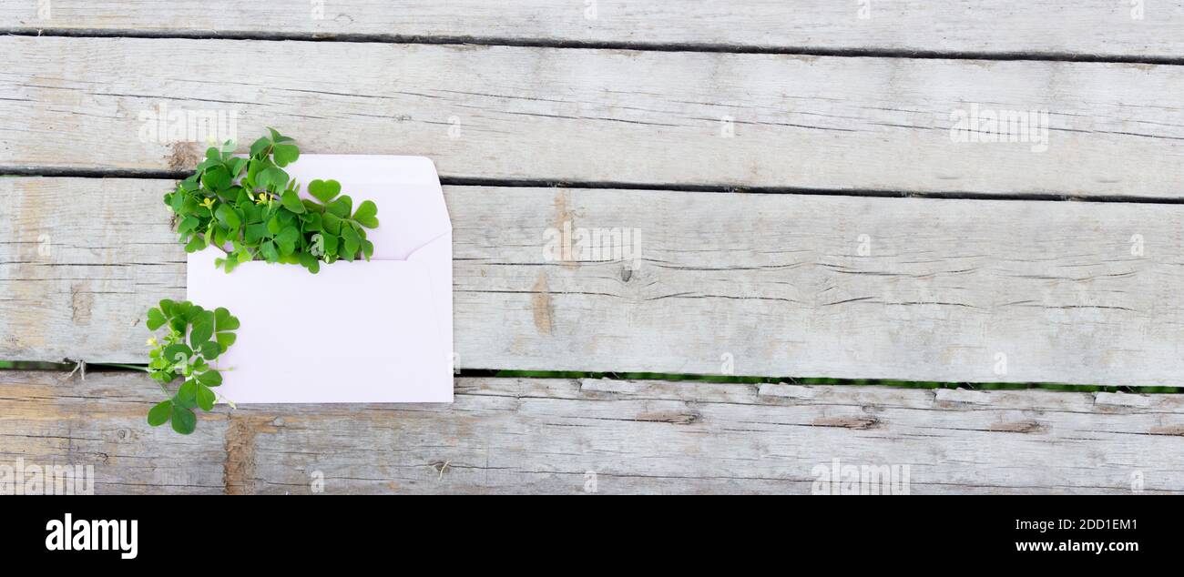 The concept of communication letters, envelope with clover, Postcard ...