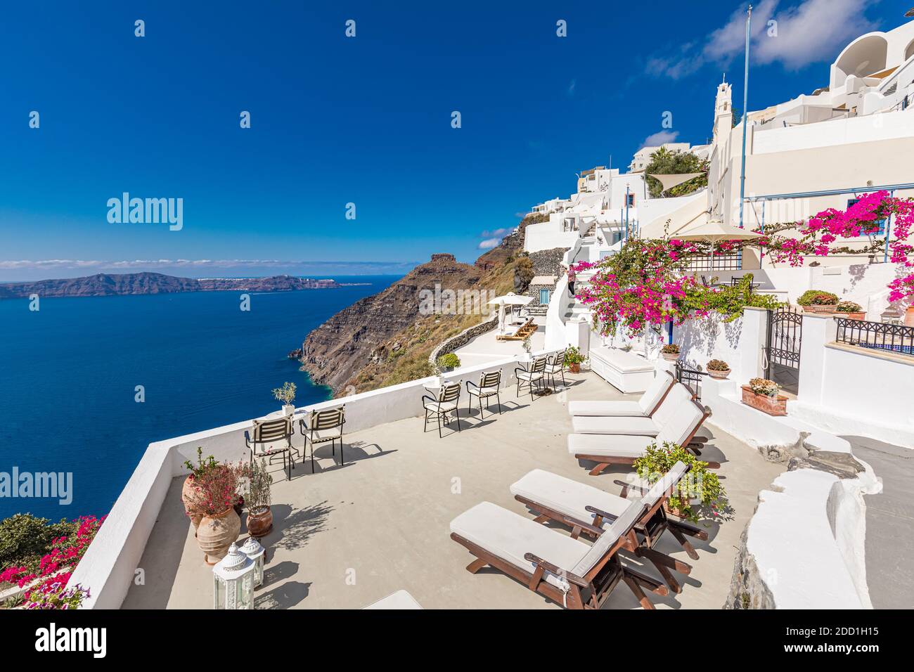Summer vacation for travel destination flowers background. Wonderful ...