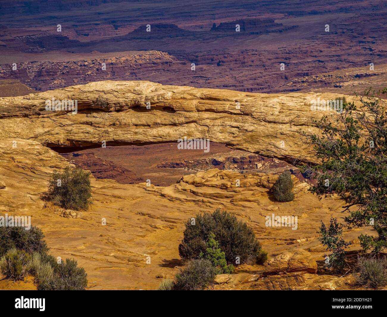 Sunflower arch hi-res stock photography and images - Alamy