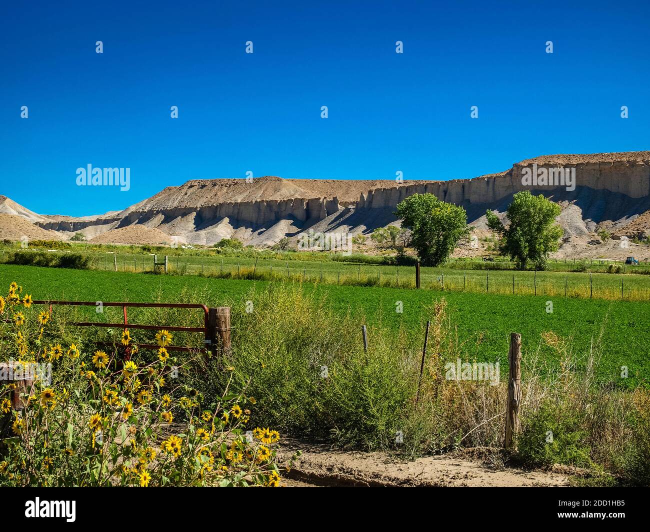 Flat small hill by the farmland in the desert, Utah, USA Stock Photo ...