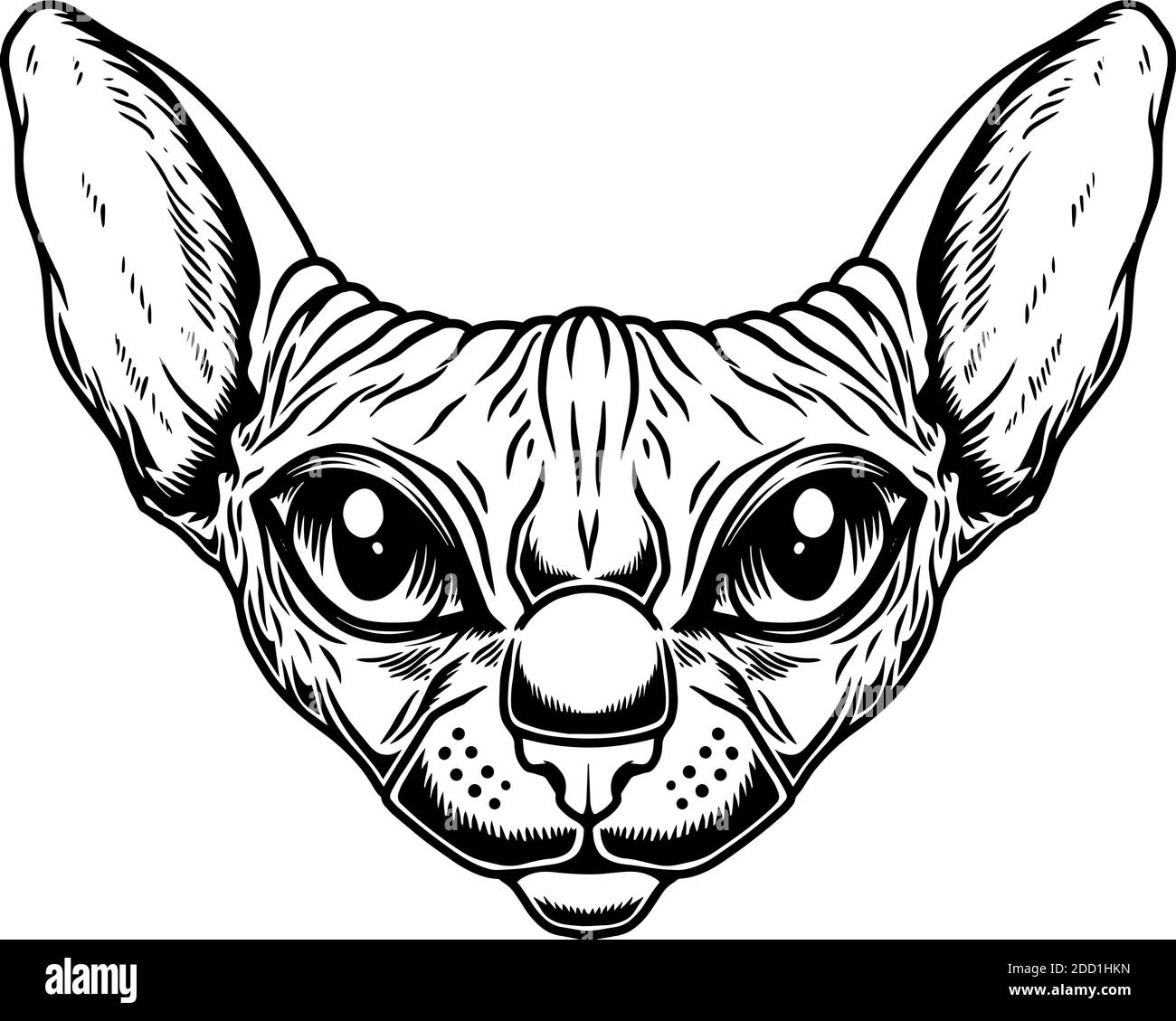 Portrait of sphynx domestic cat Stock Vector Images - Alamy