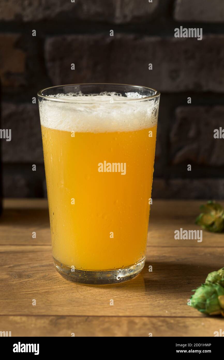 Boozy Refreshing Hoppy IPA Beer in a Pint Glass Stock Photo - Alamy
