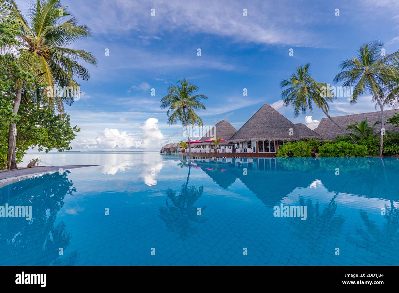 Beautiful luxury hotel pool resort beach, palm trees, loungers with umbrella. Infinity swimming ...