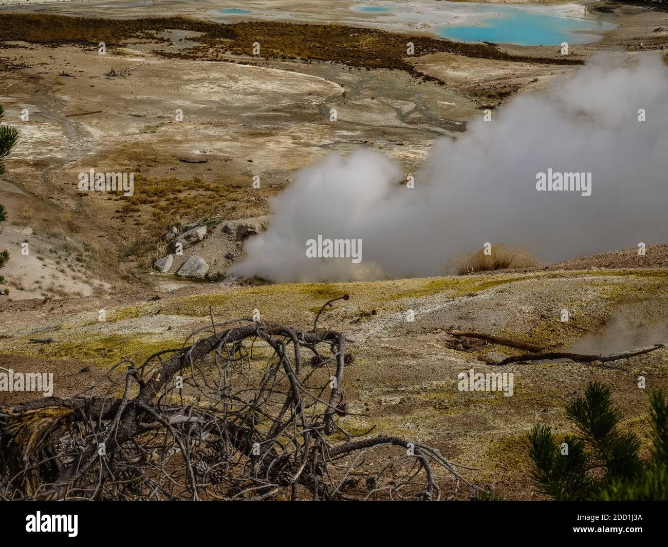 Active geysers of the Yellowstone National Park, USA Stock Photo - Alamy
