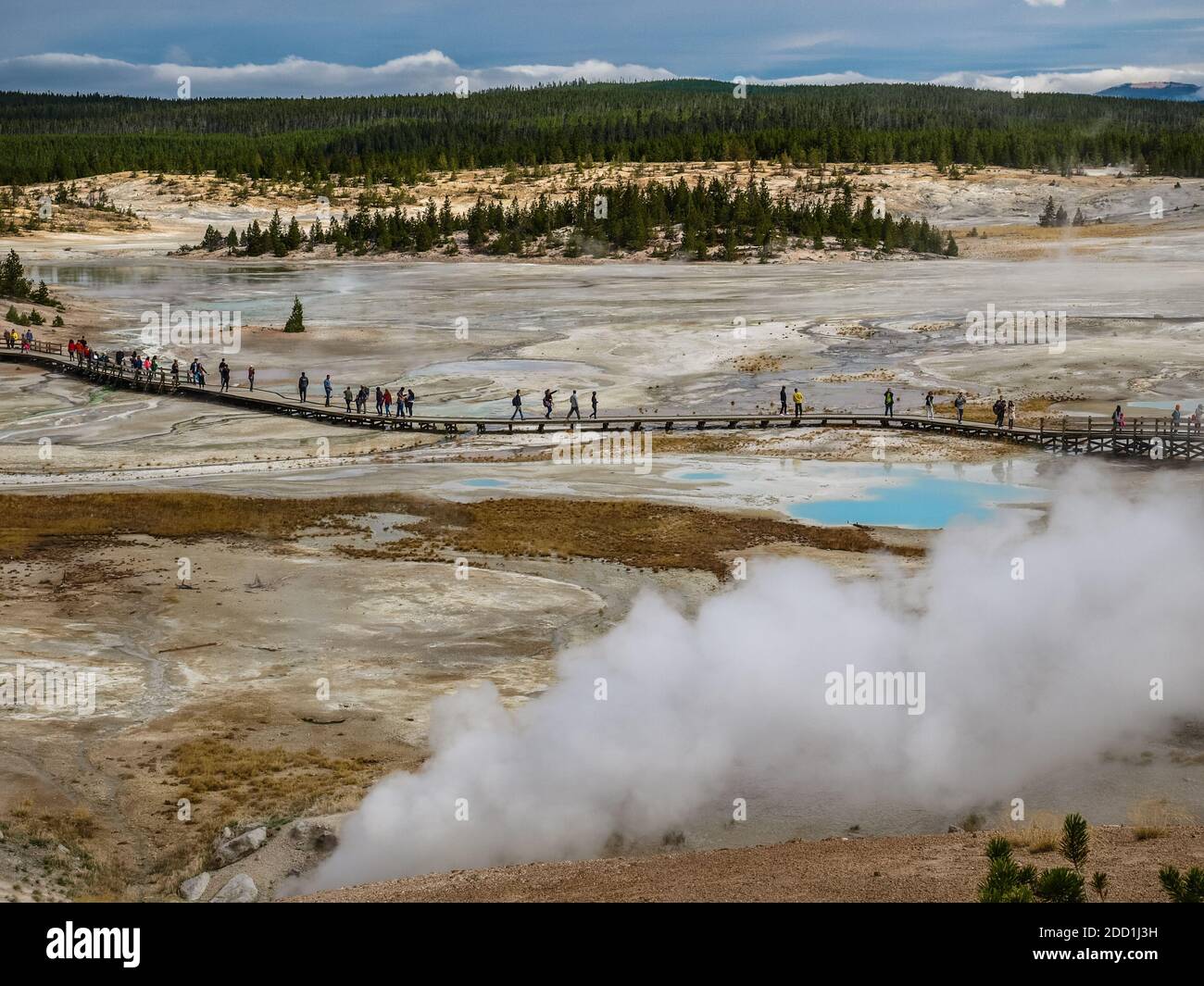 Geysers with sulfur gas rising at the Yellowstone National Park, USA ...